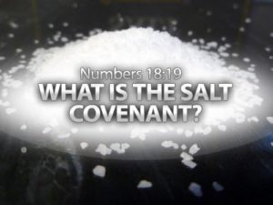 The Everlasting Covenant of Salt – Vayikra – April 1 – Jewels of Judaism