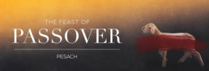 The Fifth Cup – Tzav – Shabbat HaGadol – April 8 – Jewels of Judaism